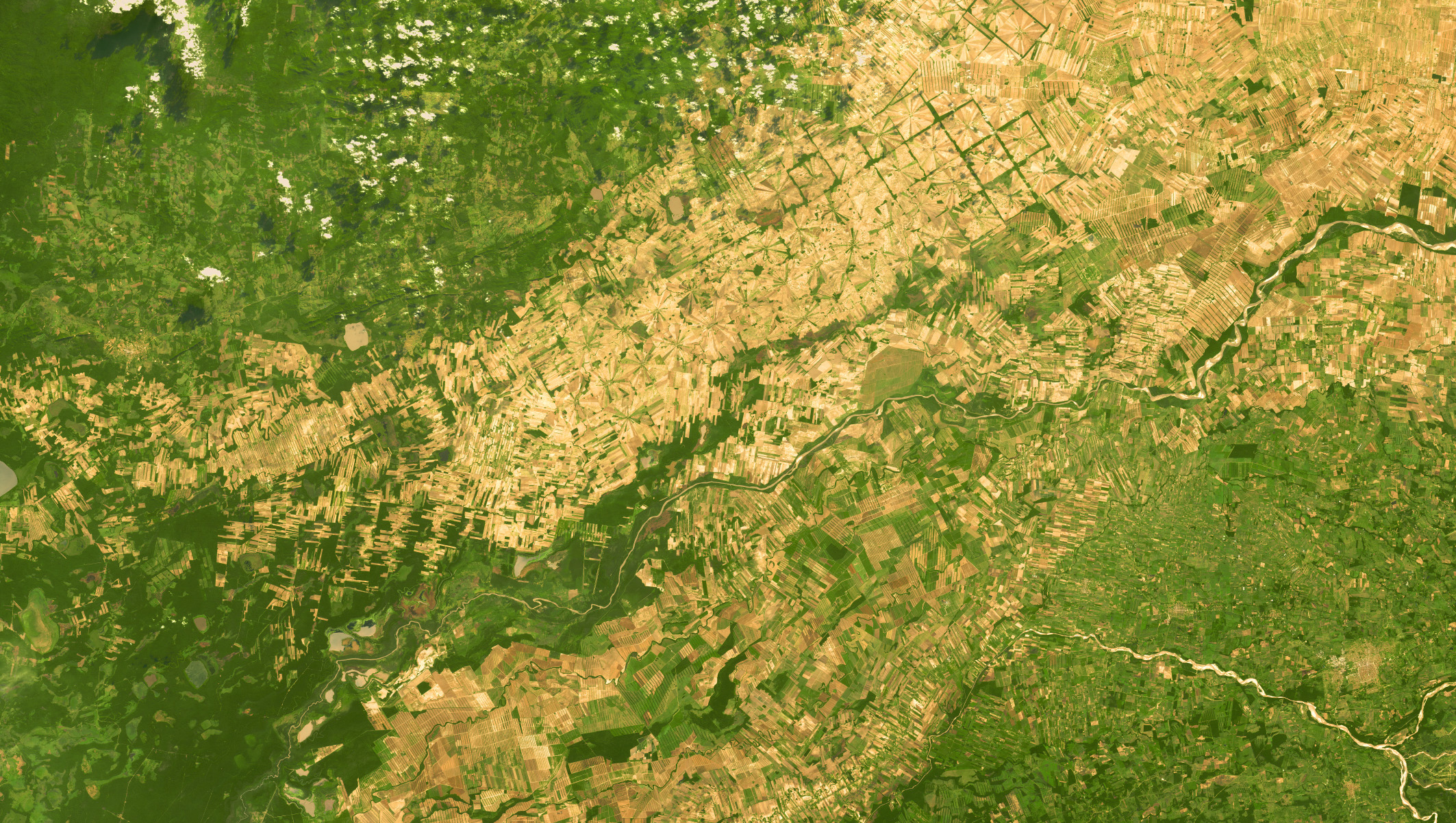 The Chiquitano Forest A Decade of Change Seen from Space - GEOSAT